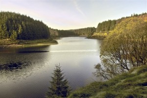 Banagher Glen | Country Parks Co. Londonderry, Northern Ireland ...