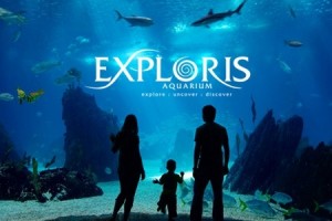 Exploris Aquarium | Zoos & Aquariums Co. Down, Northern Ireland ...