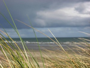 Tyrella Beach | Beaches Co. Down, Northern Ireland | Virtual Visit Tours